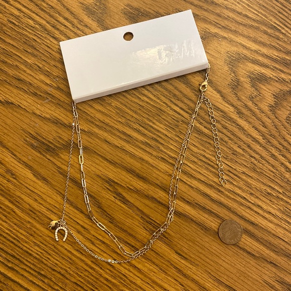 H&M | Jewelry | Nwt Hm Double Gold Lucky Necklace | Poshmark
